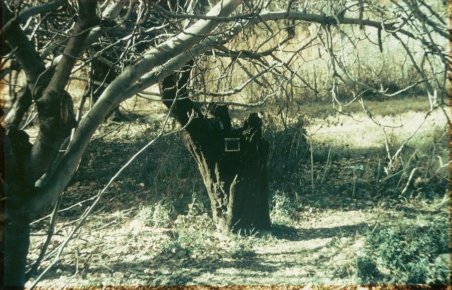 David Livingstone Birthplace Museum | interview with director | blooloop