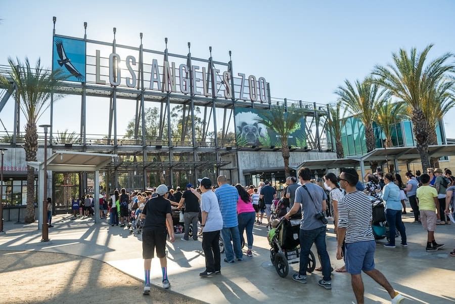 Los Angeles Zoo | interview with Denise Verret | blooloop