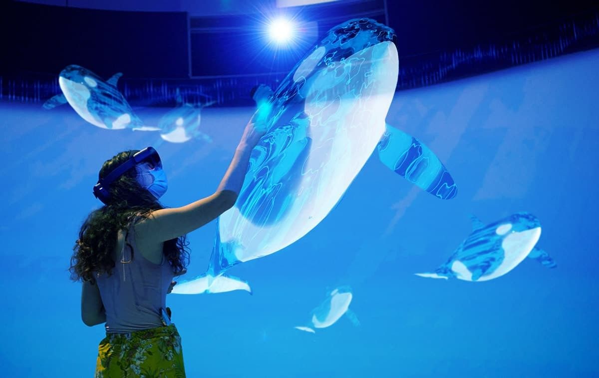 Smithsonian AR experience puts visitors in holographic orca pod | blooloop