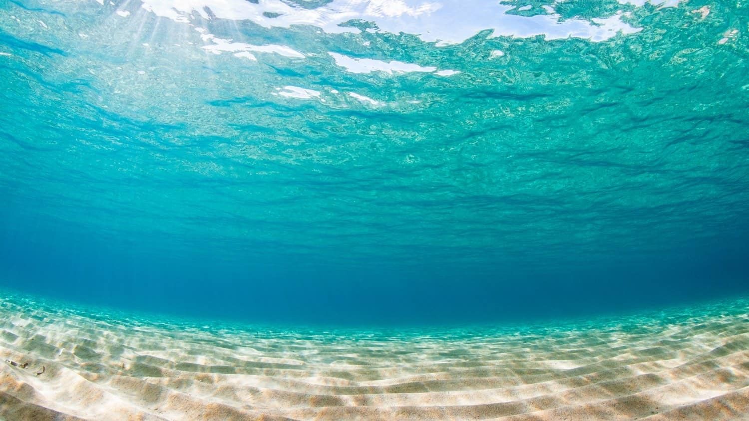 greenloop 22 | attractions taking climate action, sustainability | blooloop