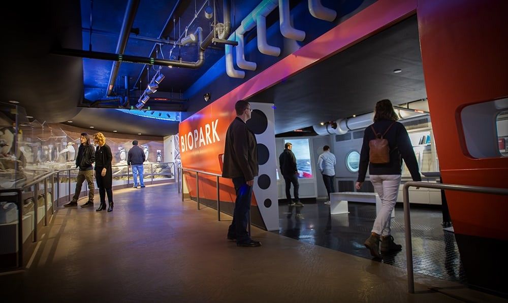 Ideum | multitouch hardware & software | blooloop