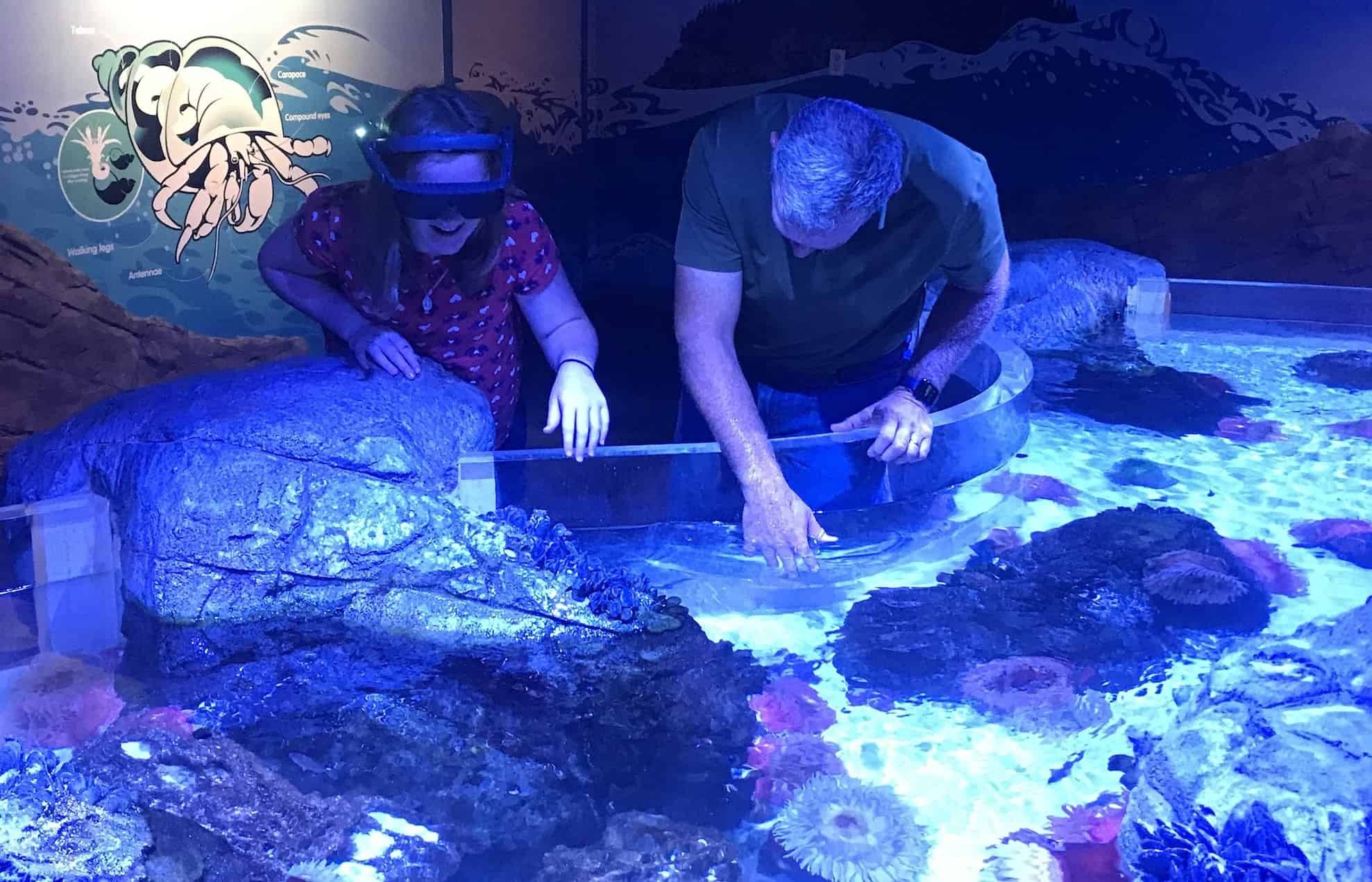 Merlin to provide vision-enhancing medical devices at attractions ...