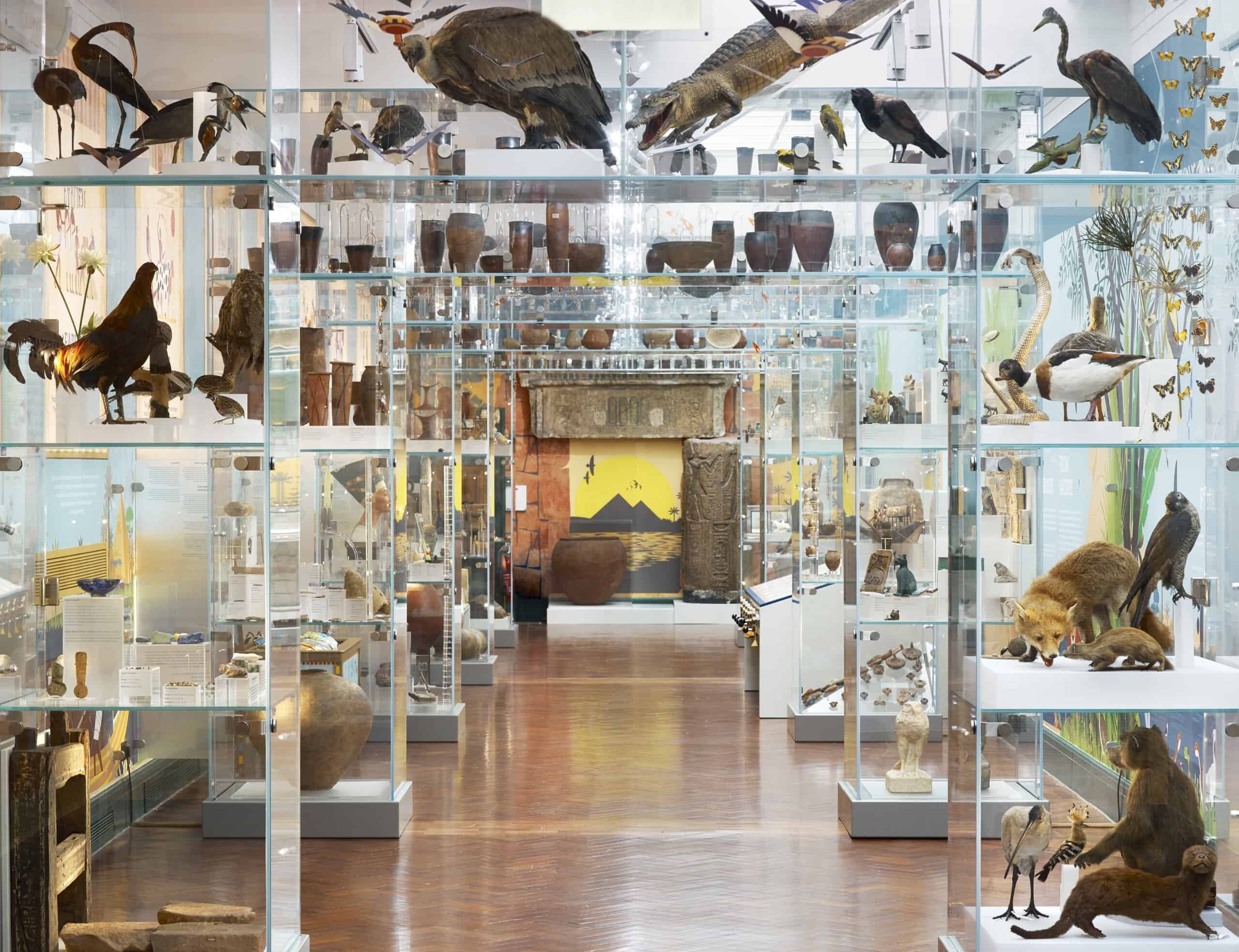 CORE | Design | Interpretation | Specialist | Blooloop