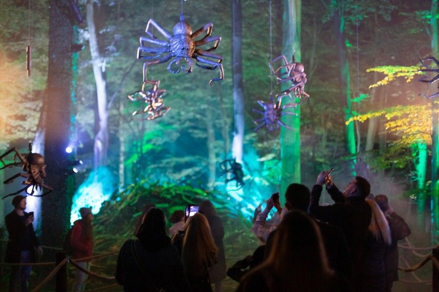 Harry Potter Forbidden Forest Experience | Thinkwell | blooloop