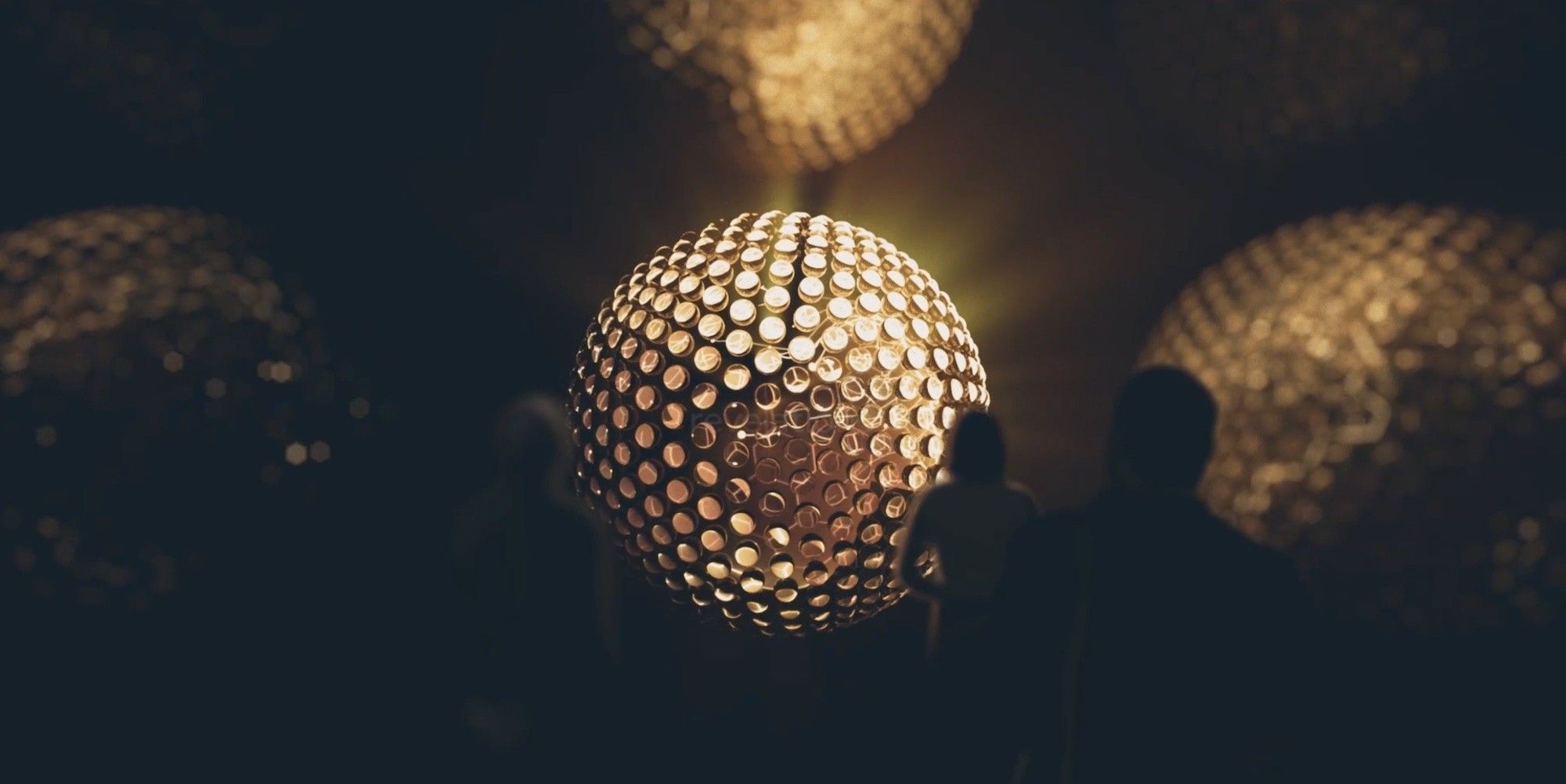 Bees exhibition 'a story of survival' at Liverpool Museums | blooloop