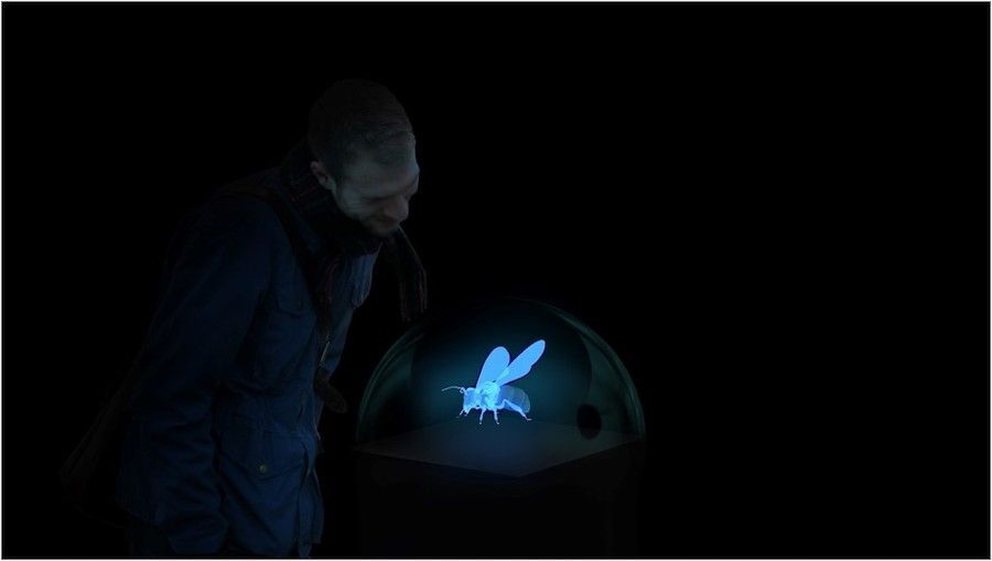 Bees exhibition 'a story of survival' at Liverpool Museums | blooloop