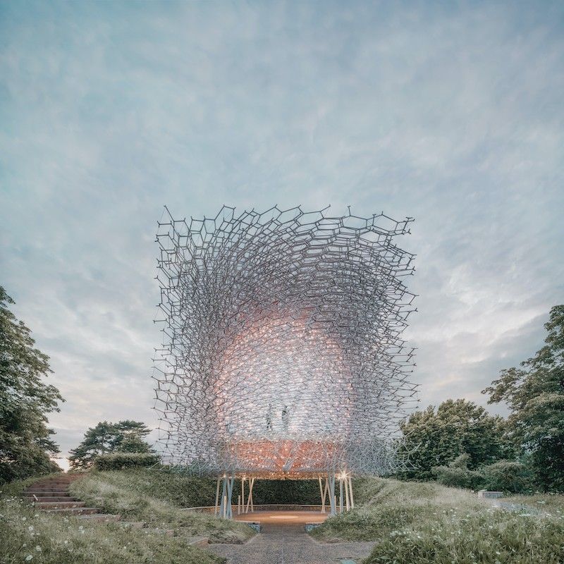 Bees exhibition 'a story of survival' at Liverpool Museums | blooloop