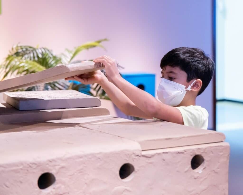 Sharjah Museums opens space for archaeology learning | blooloop