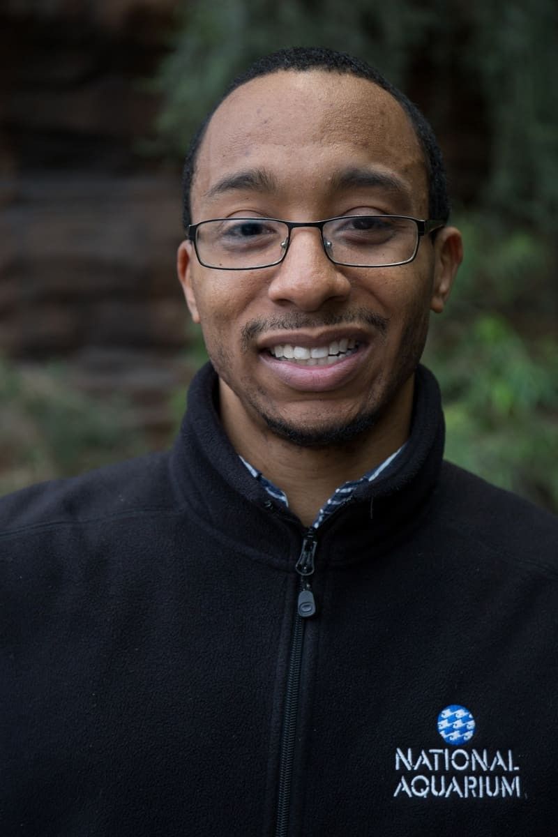 Curtis Bennett | National Aquarium | blooloop 50 2022