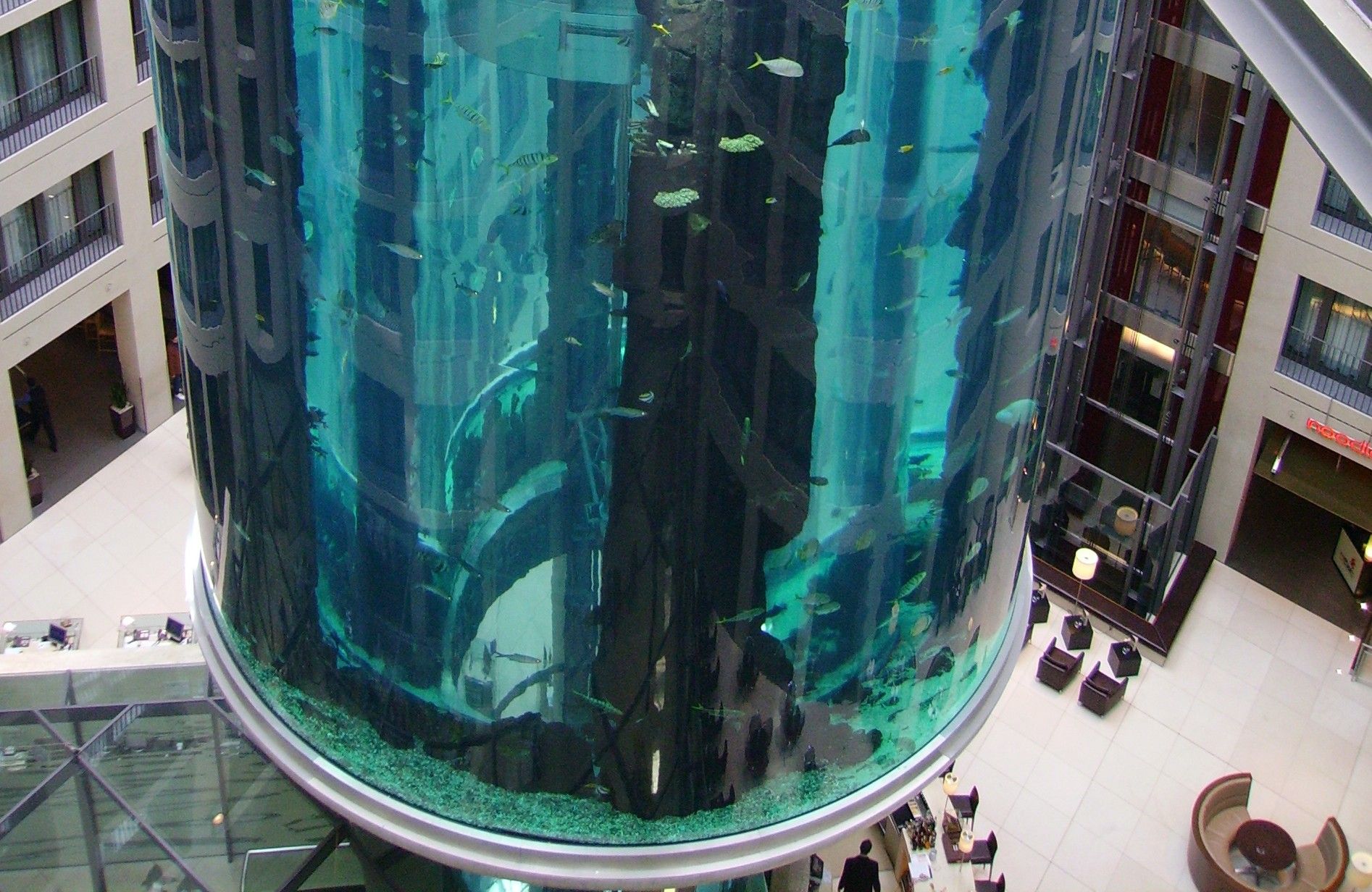 AquaDom aquarium in Berlin with 1,500 fish explodes | blooloop