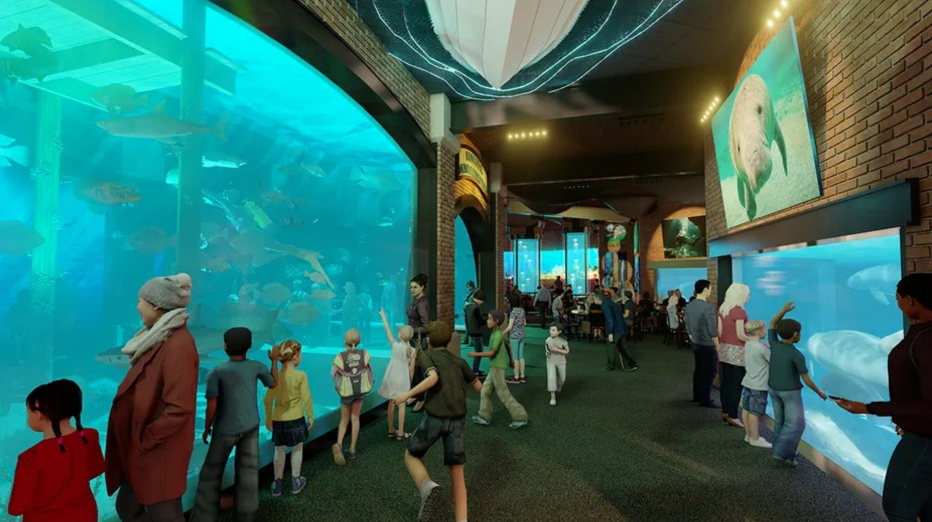 ZooTampa at Lowry Park announces $125m expansion | blooloop