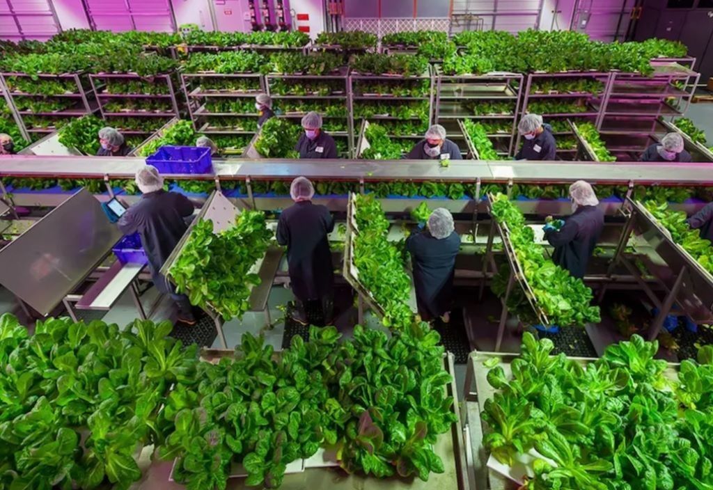 SSA Group brings sustainable catering to Denver | blooloop