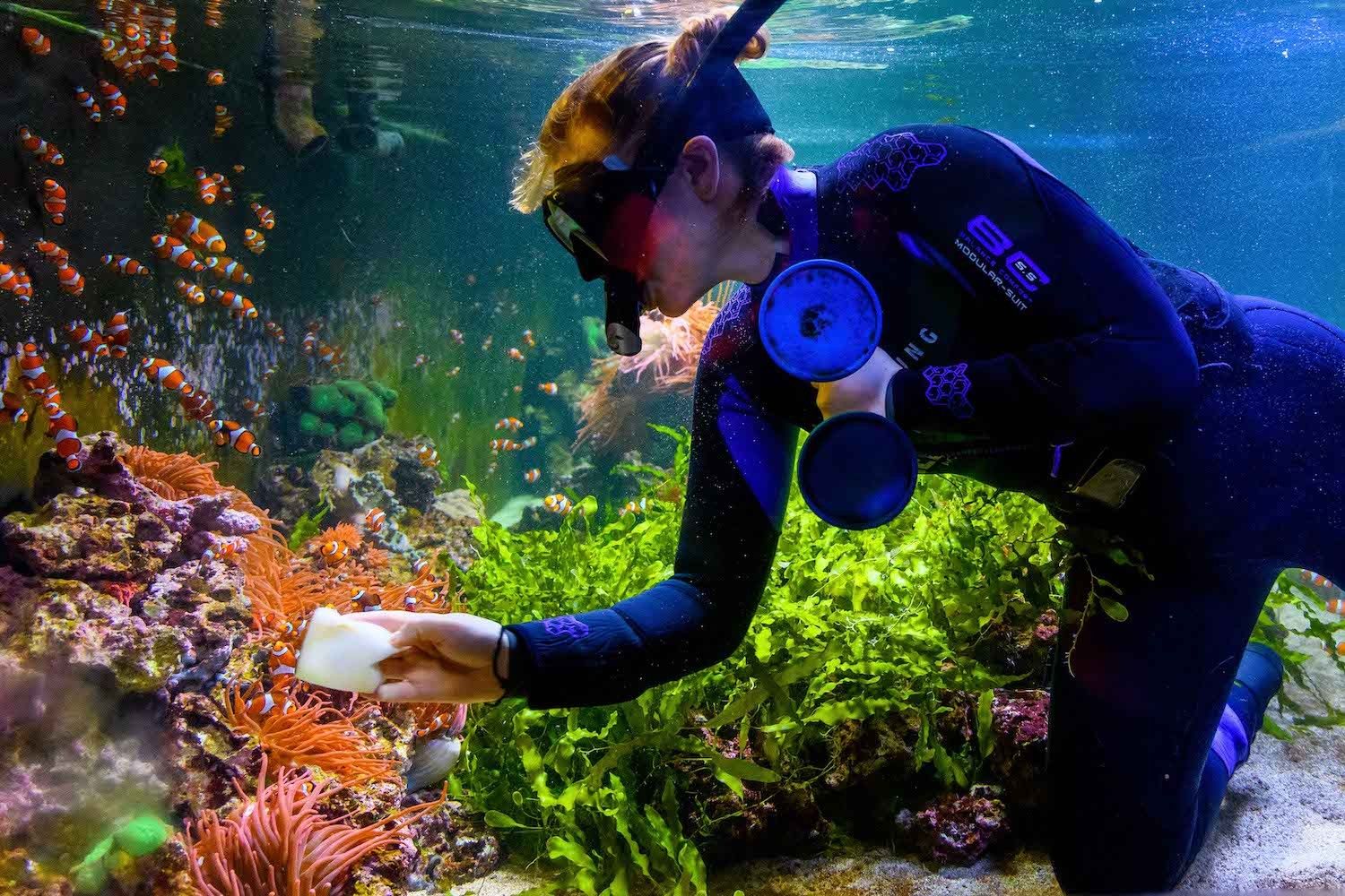 Sea Life London