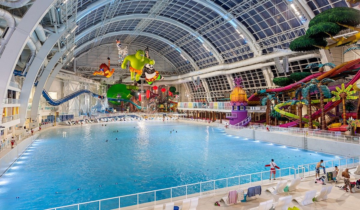 THG | design, entertainment and production | blooloop