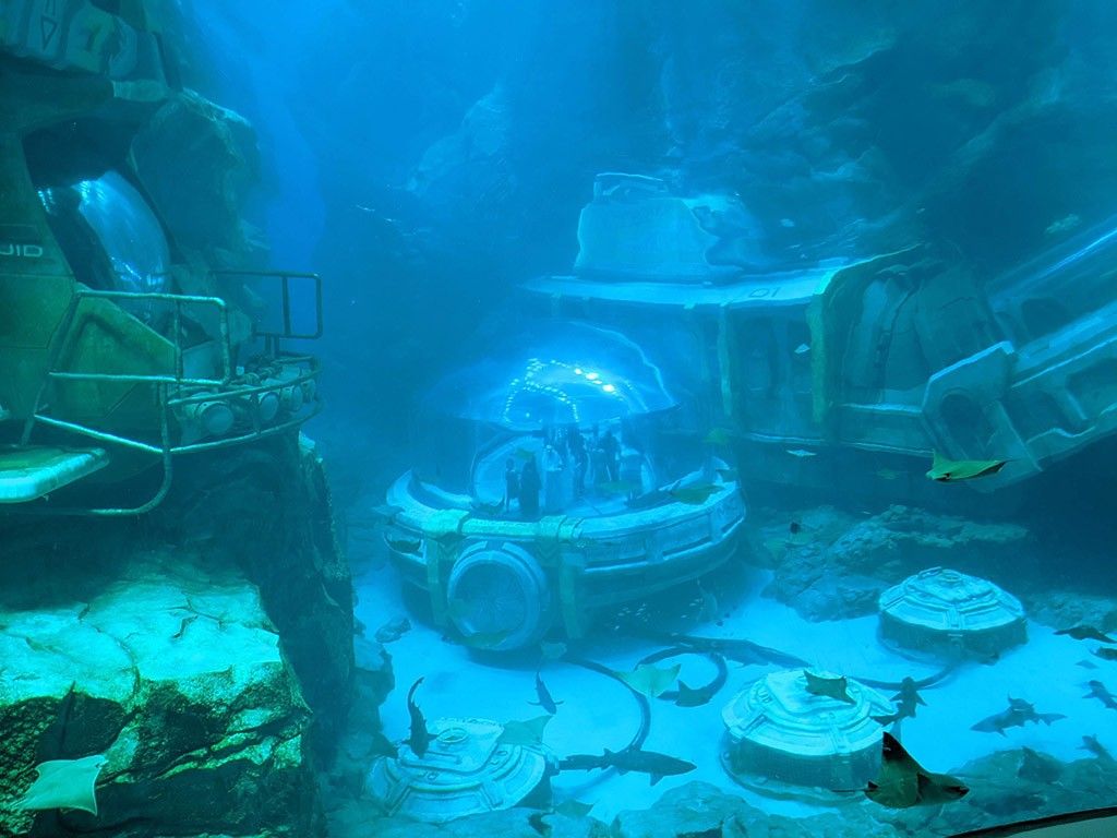 SeaWorld Abu Dhabi opens on Yas Island | blooloop