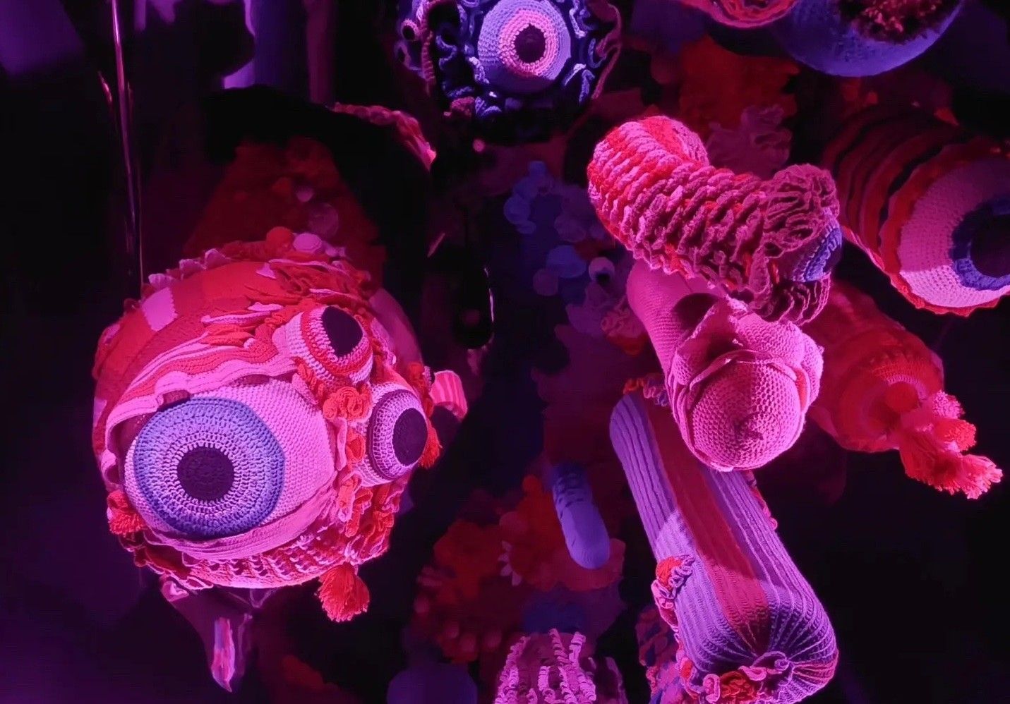 Meow Wolf Convergence Station | review | blooloop