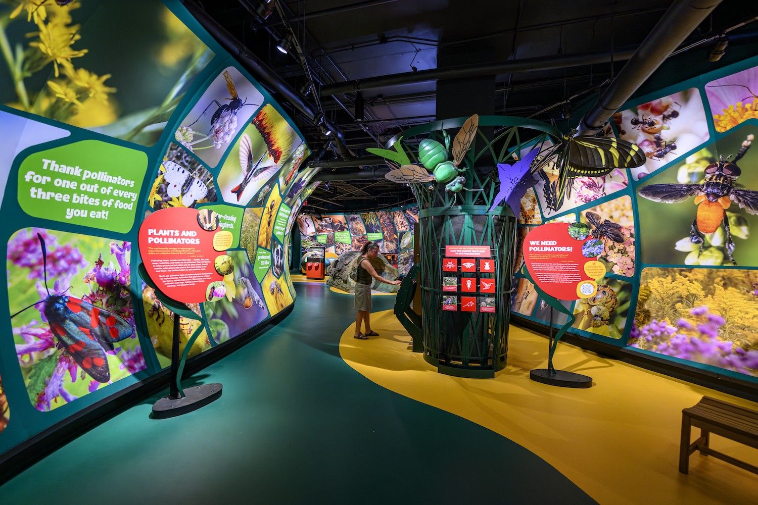 New Orleans' Audubon aquarium and insectarium reopen | blooloop