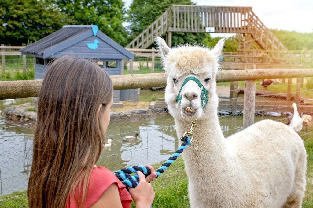 Fairytale Farm | Interview with Nick Laister | blooloop