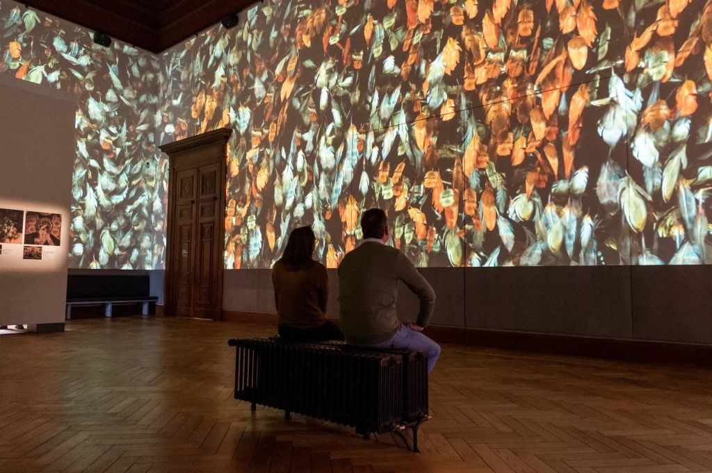 Barco | KMSKA immersive exhibition | blooloop