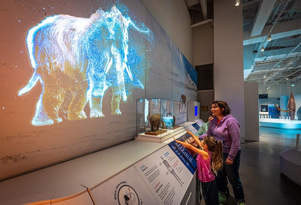 AMNH to bring Planet Ice exhibition to North America | blooloop