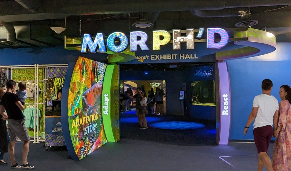 IDEAS | immersive MORPH'D gallery | Florida Aquarium | blooloop