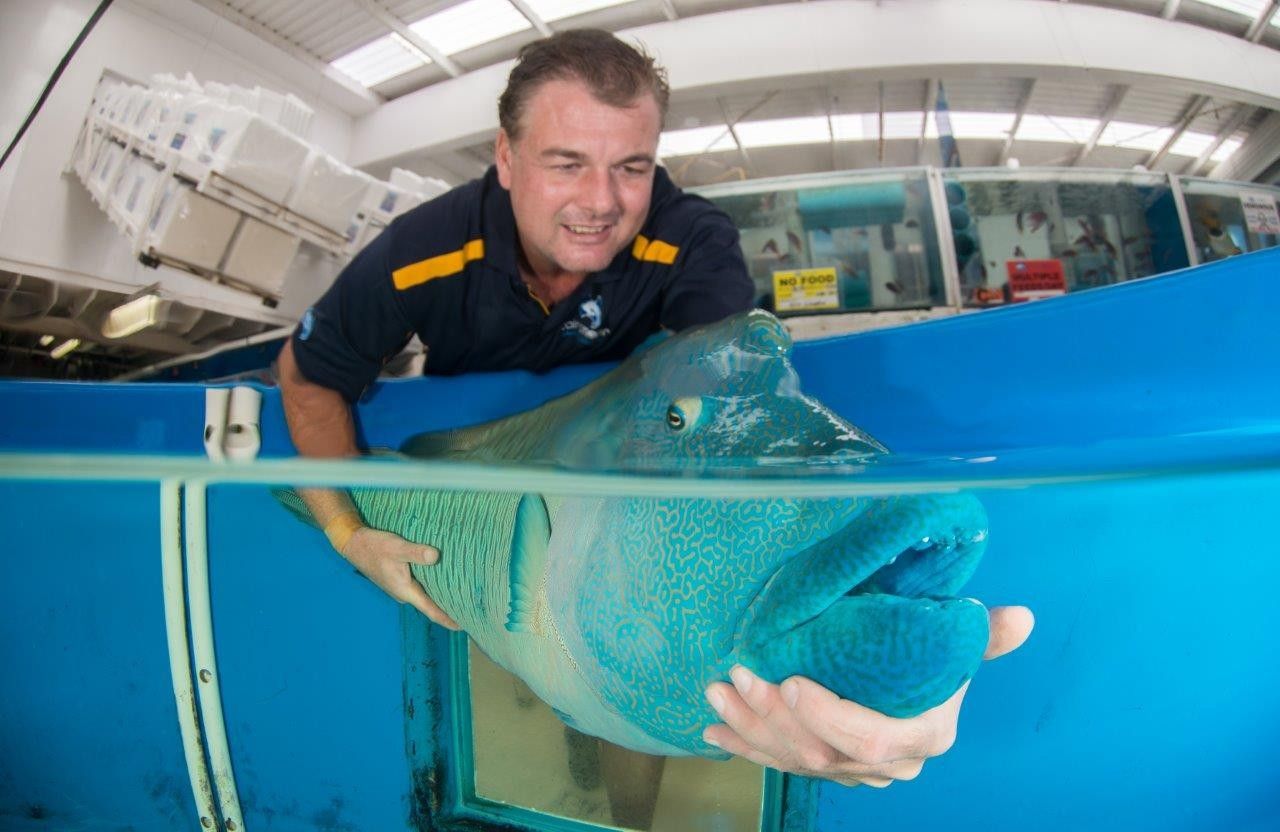 Lyle Squire Jnr | Cairns Marine Pty Ltd | blooloop 50 2023