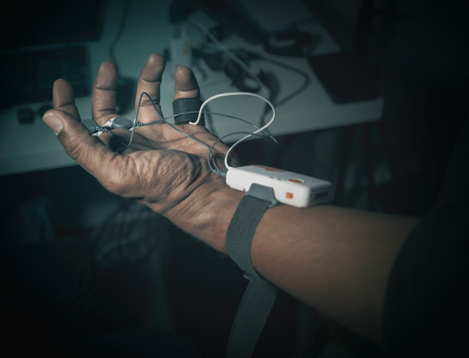 Liseberg conducting fear experiment with scientists | blooloop