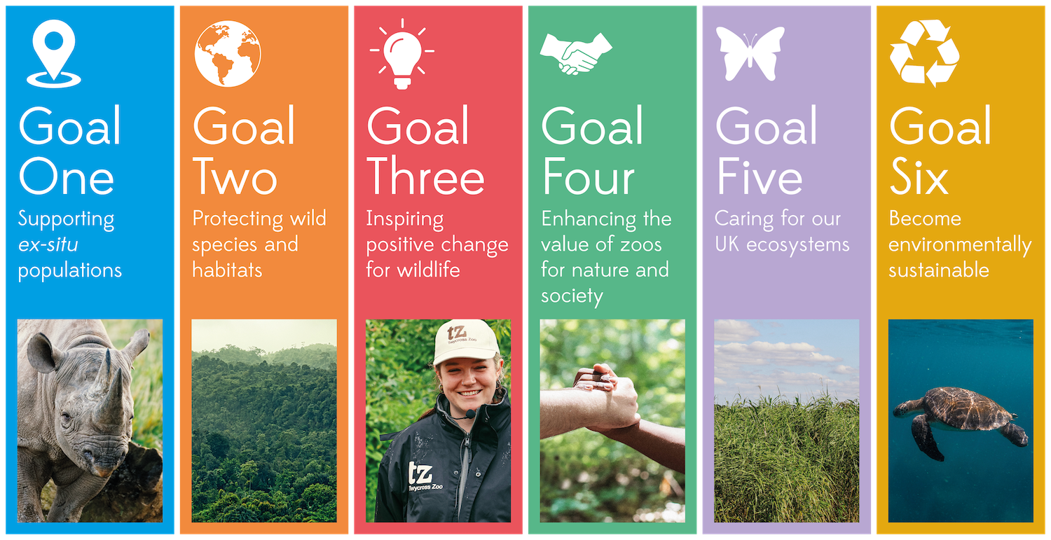 Twycross Zoo launches new conservation strategy | blooloop