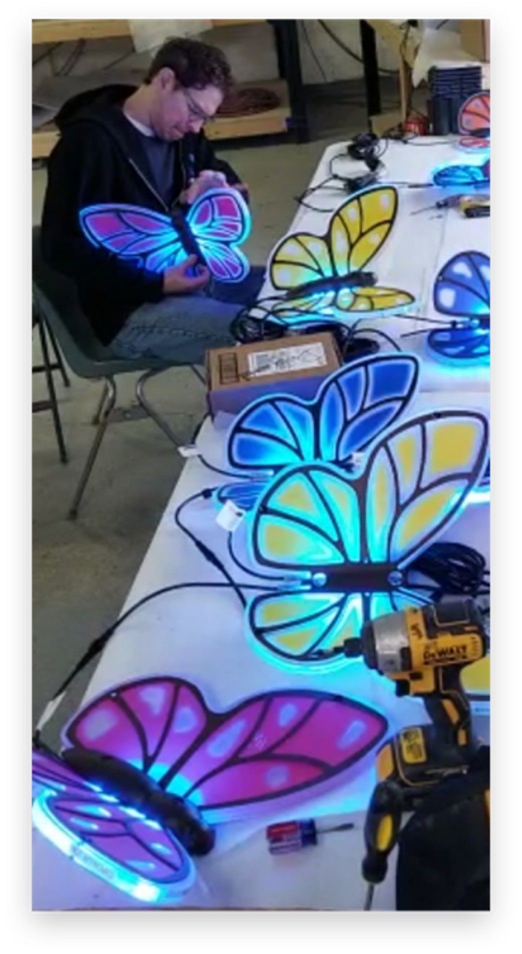 LF Studios | inside the rebrand of LifeFormations | blooloop