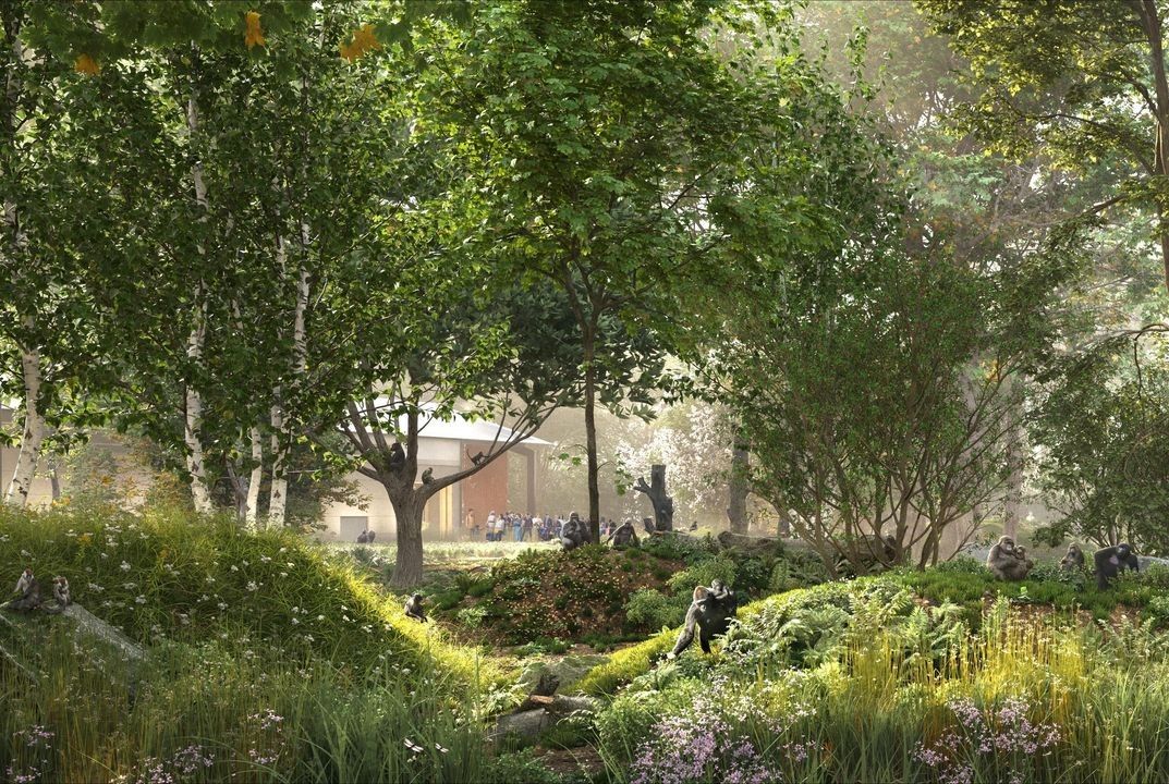 Bristol Zoo Project to build new forest habitat | blooloop