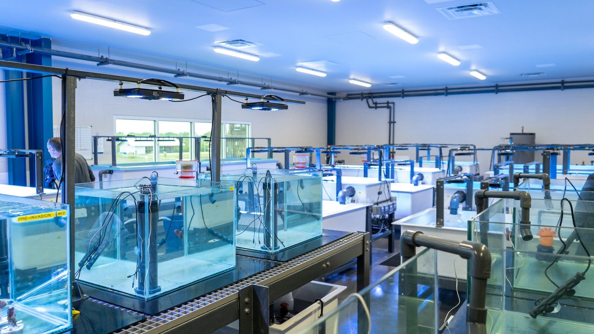 Florida Aquarium opens new coral conservation centre | blooloop