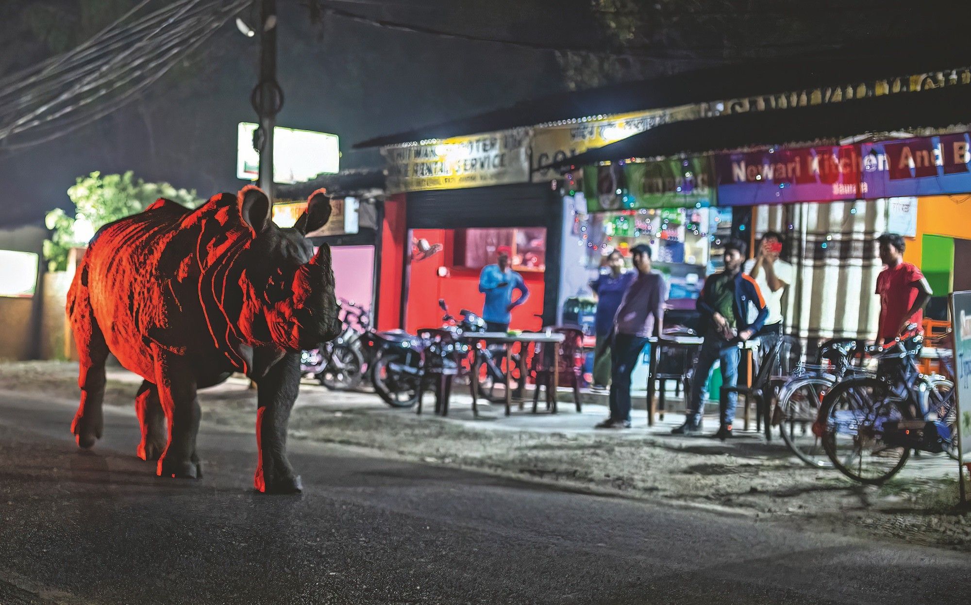 BBC's Planet Earth III to debut as live concert in UK | blooloop