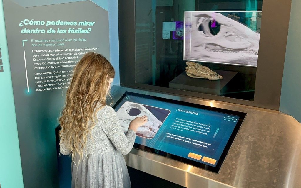 Ideum | creates 3D displays for Dueling Dinosaurs | blooloop