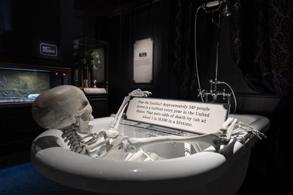Exhibits Development Group | Death by Natural Causes | blooloop