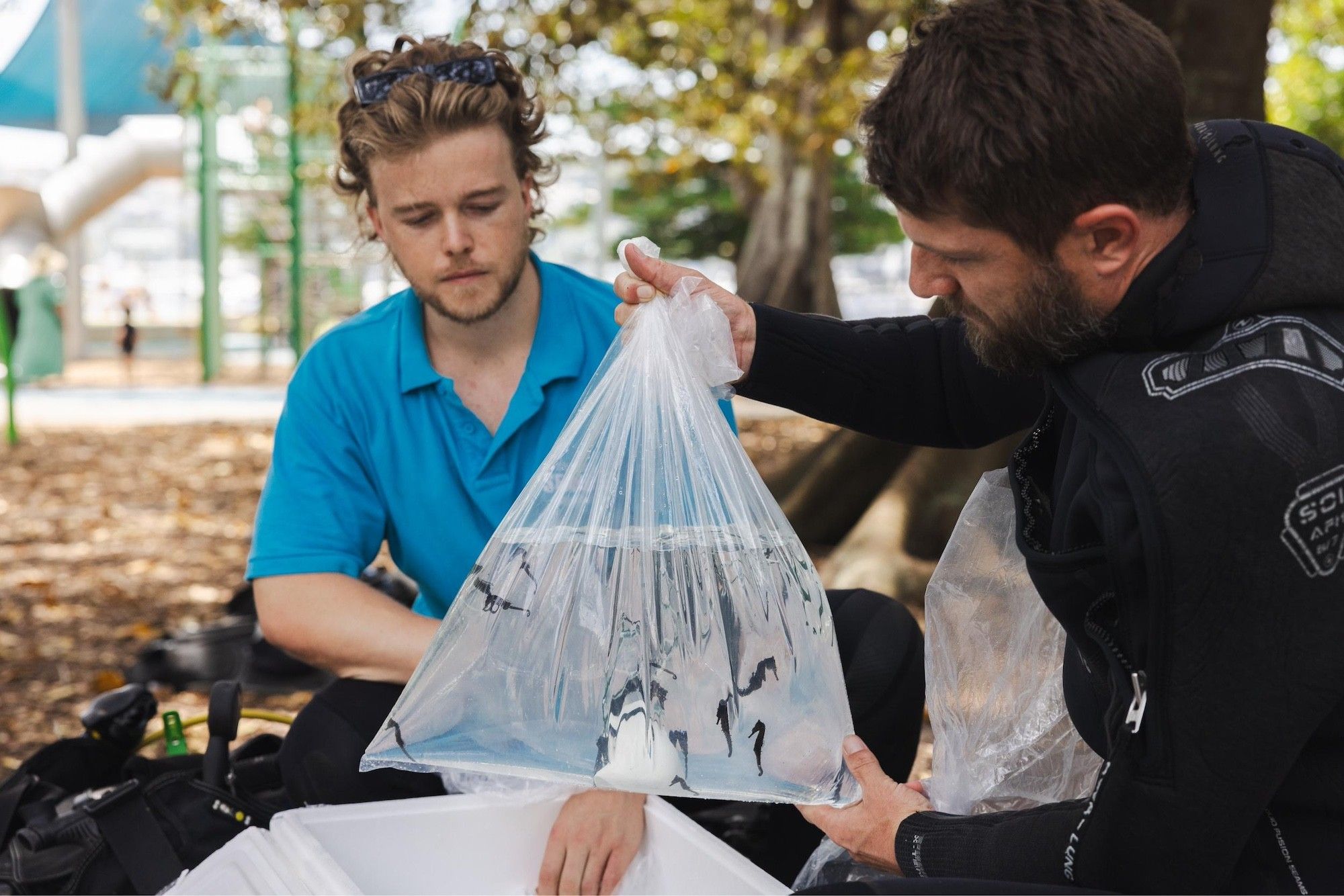 Merlin reveals funding boost for conservation projects | blooloop