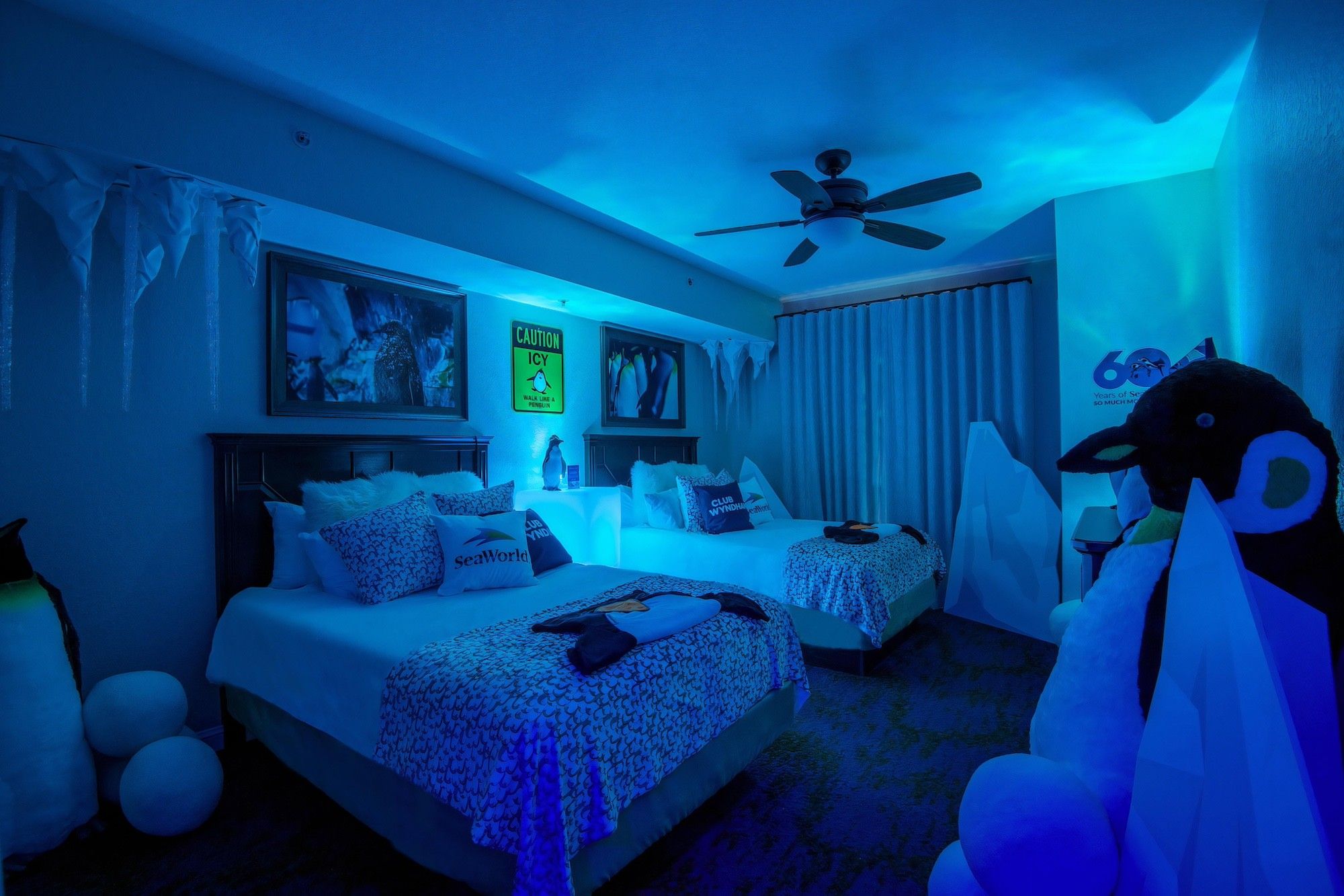 TRSDC launches 'Coral Bloom' at Red Sea Project | blooloop