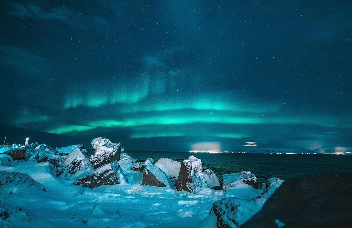 SeaWorld Orlando unveils Arctic-themed flying theatre | blooloop