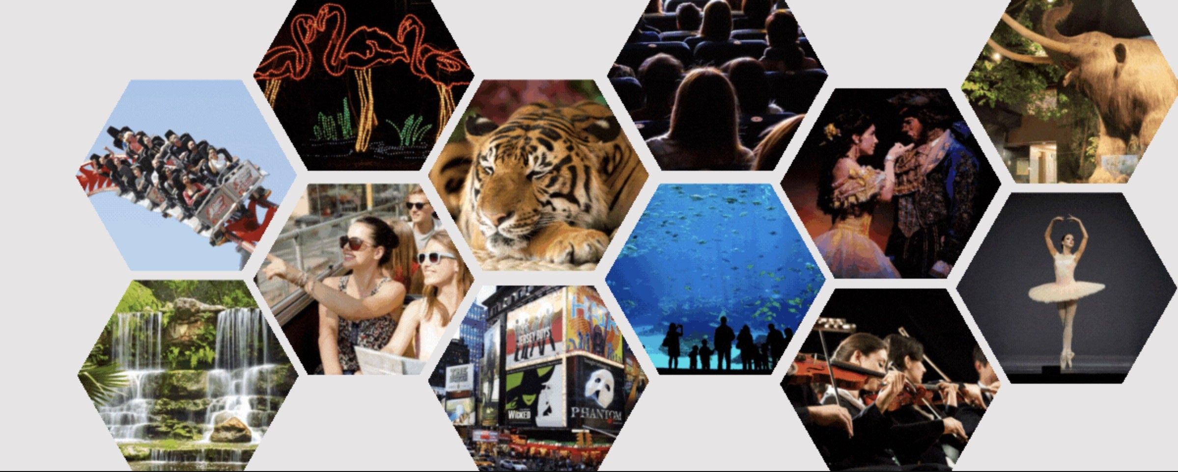 Digonex | Dynamic pricing solutions | blooloop