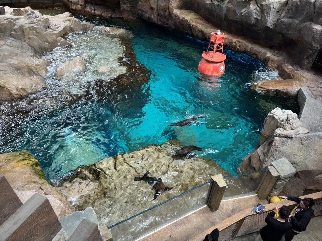 MAT Filtration Technologies | SeaWorld Abu Dhabi | blooloop