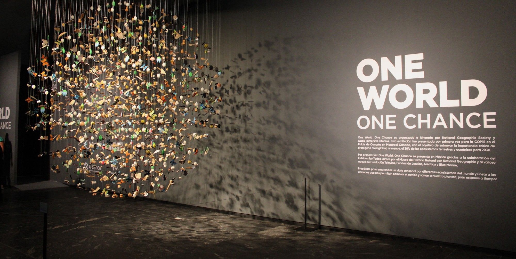 One World One Chance | National Geographic | blooloop