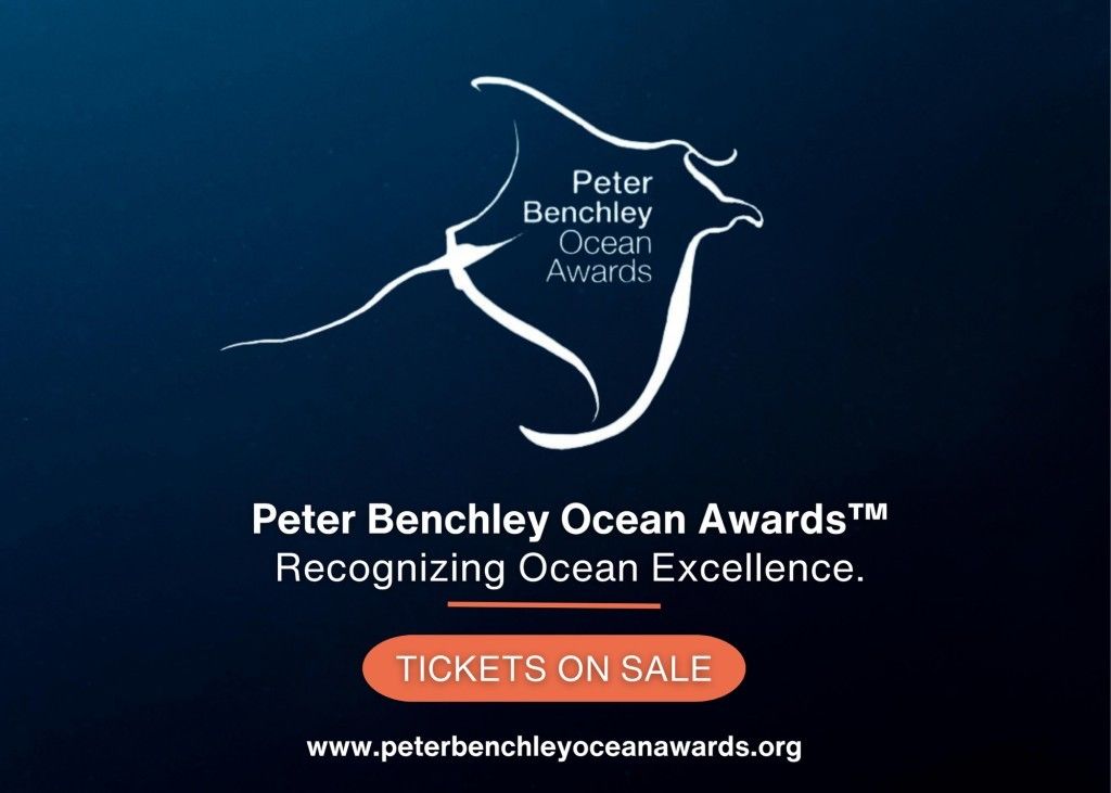 Electrosonic & Float4 | accessibility at View Boston | blooloop