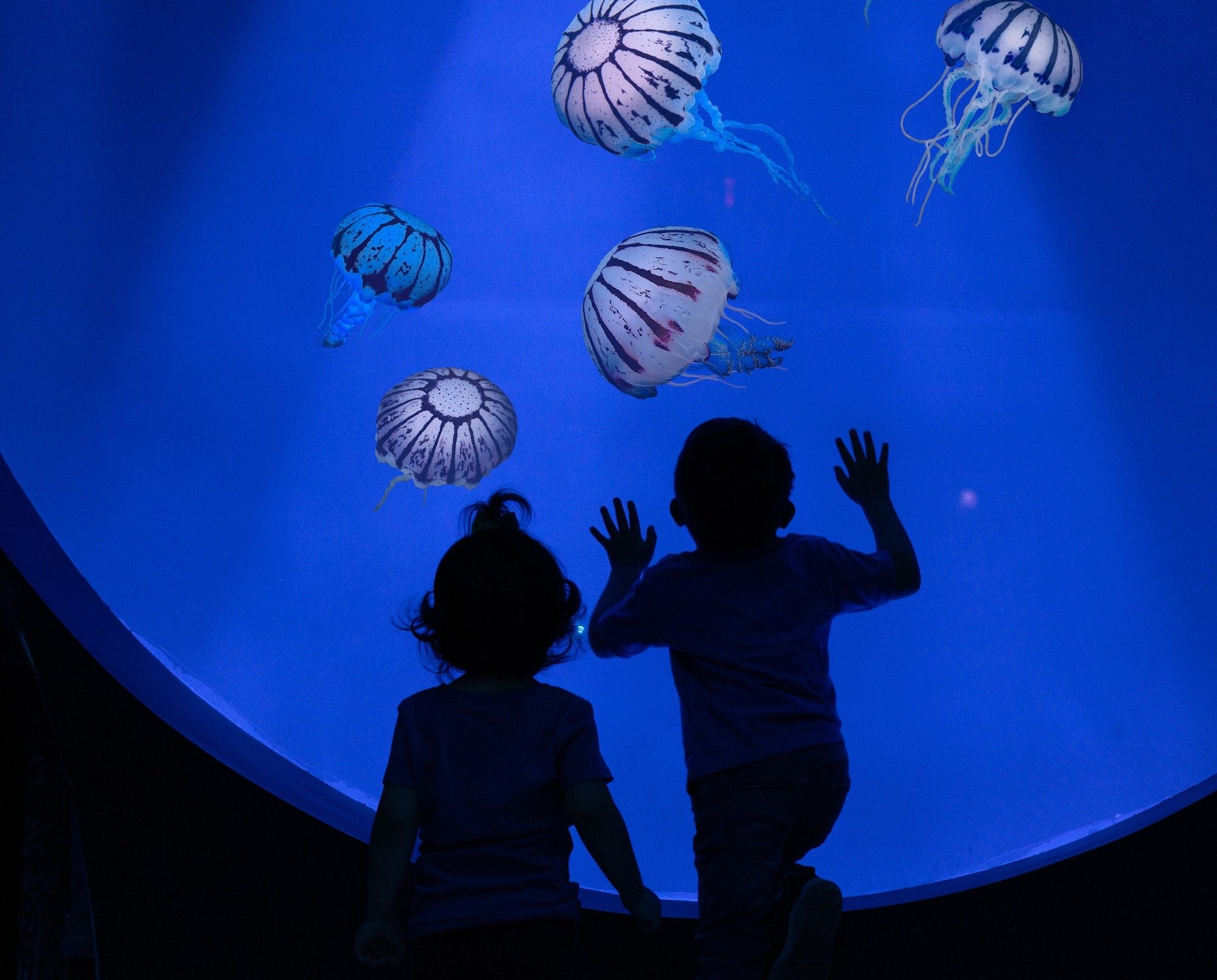 Immersive art experiences | best digital art experiences | blooloop