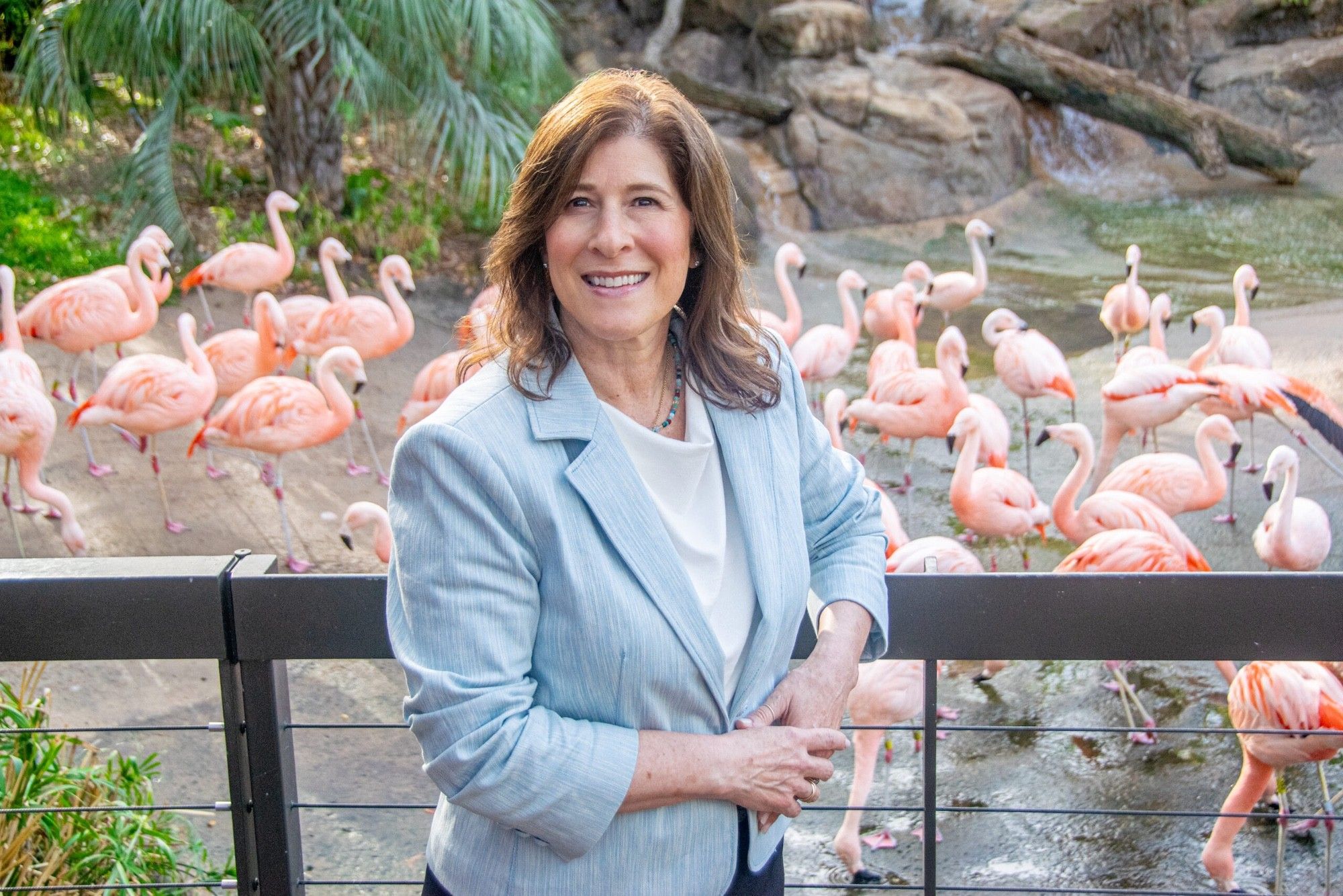 Houston Zoo names Lisa Peterson as president, CEO | blooloop