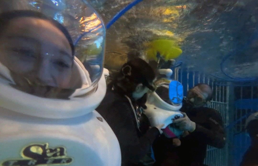 Sub Sea Systems | accessible SeaTREK programme | blooloop