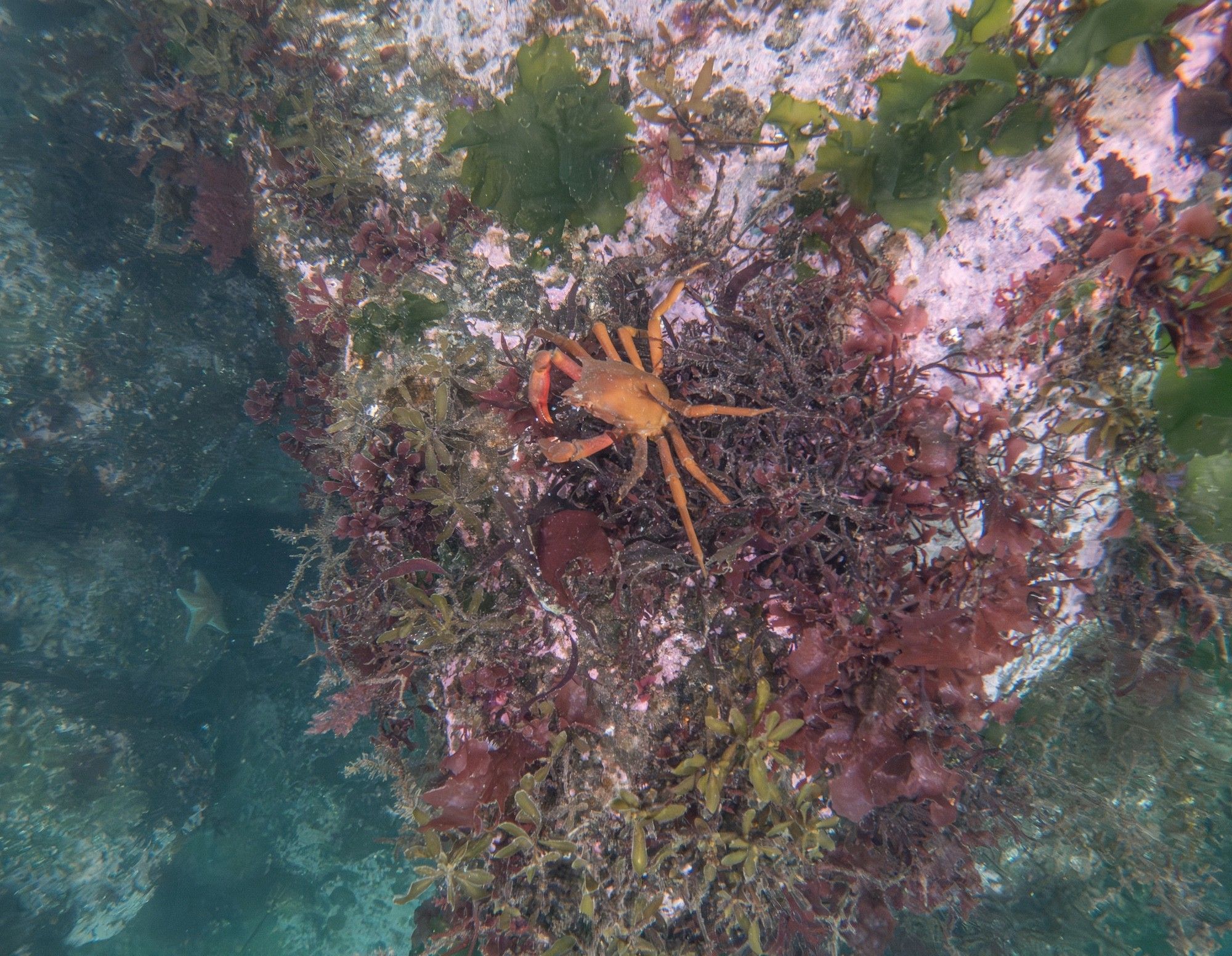 Aquarium uses Xbox controllers to monitor marine life | blooloop