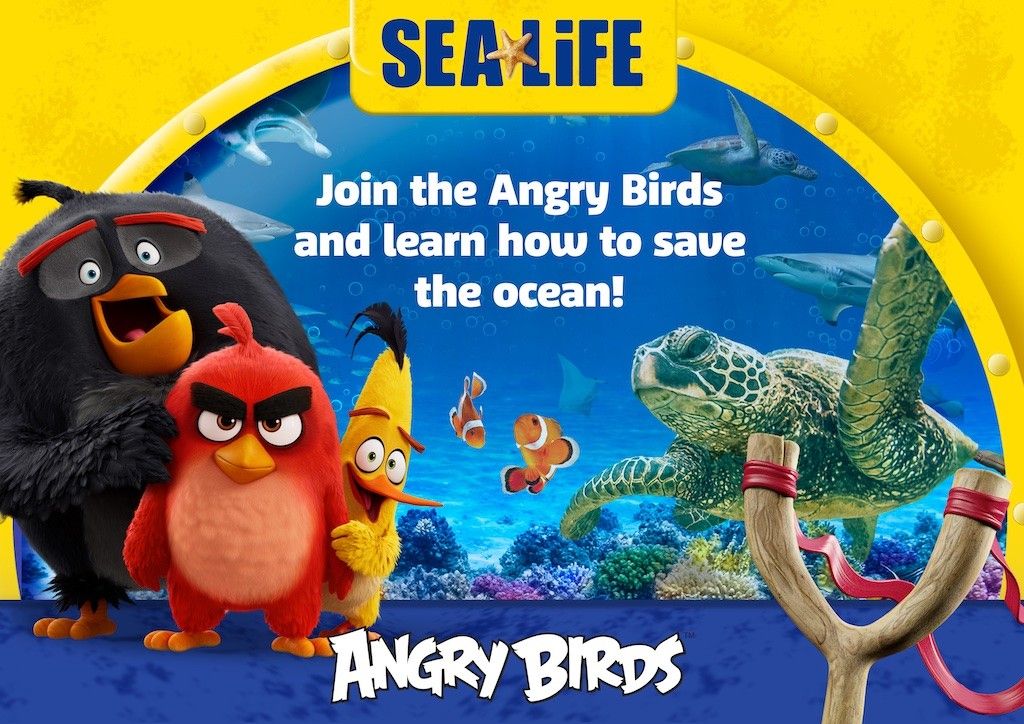 Rovio | Angry Birds experiences Sea Life UK | blooloop