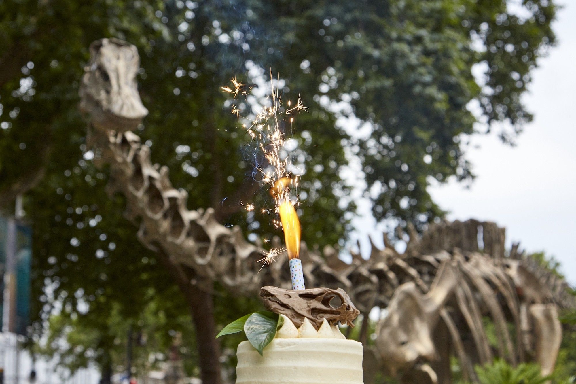 Artechouse opens in Miami, fusing art and tech | blooloop