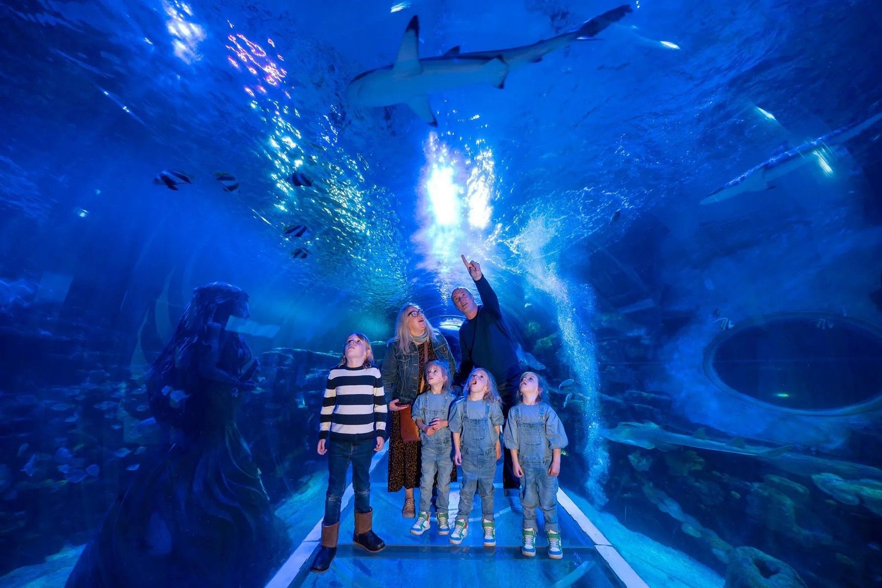 Top zoos and aquariums Europe | 17 of the best | blooloop